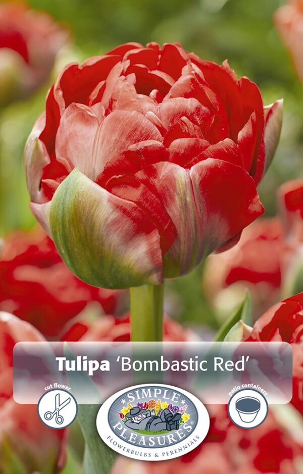 Your Guide to Fall Bulbs - TERRA Greenhouses